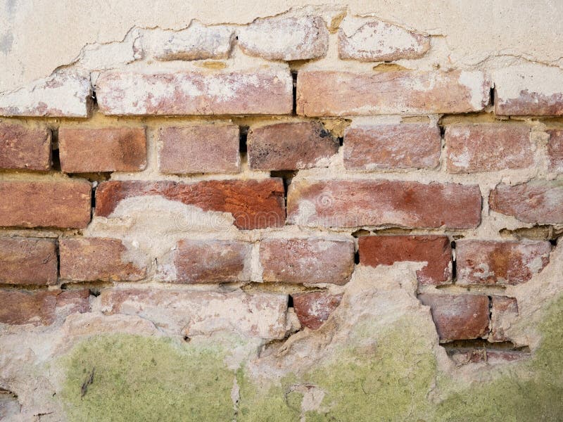 Fragment of a brick wall stock image. Image of blooming - 216192481