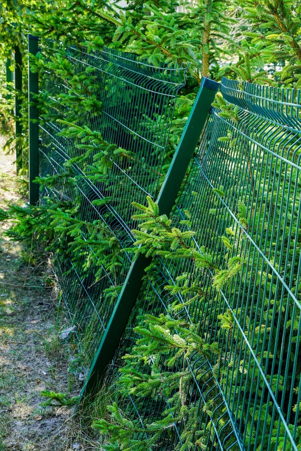 A Fragment of a Broken Metal Fence and a Deformed Fence Post Stock ...