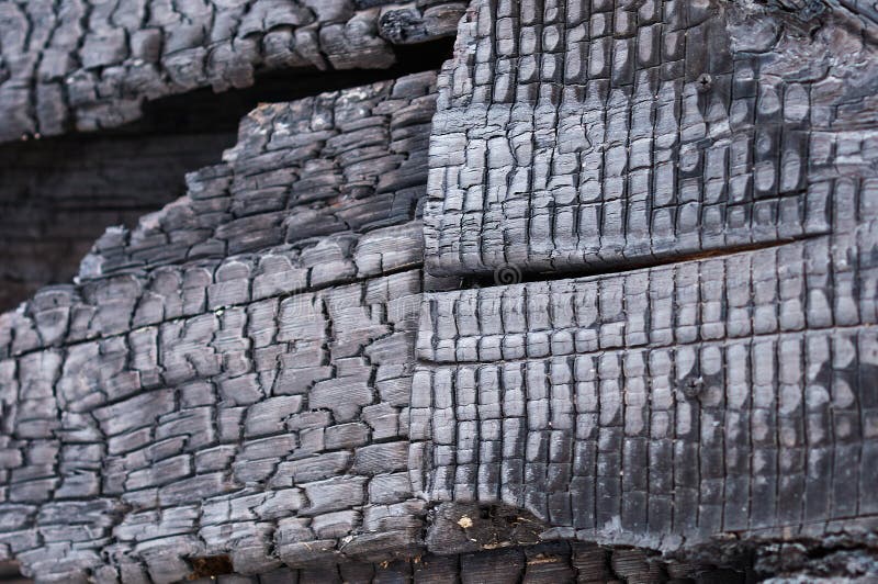 Fragment of a Burnt Log Hut. after the Fire. Texture of Charred Wood ...