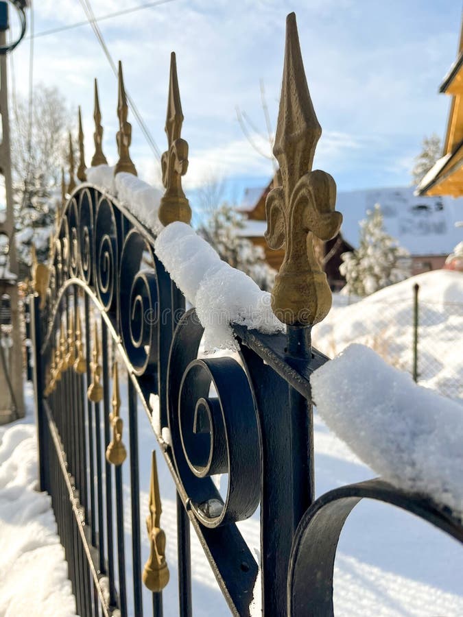 A Fragment of a Cast-iron Fence in Winter Stock Image - Image of detail ...