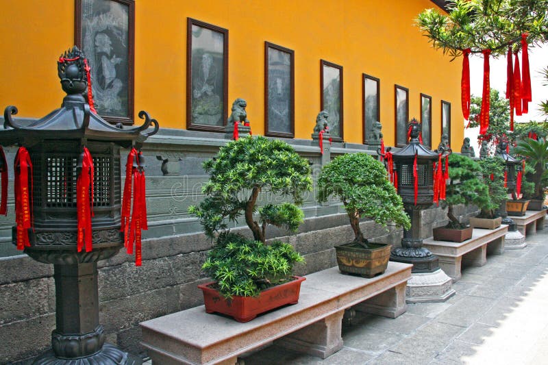 Fragment of Chinese Temple with Row of Bonsai Trees Stock Photo - Image ...