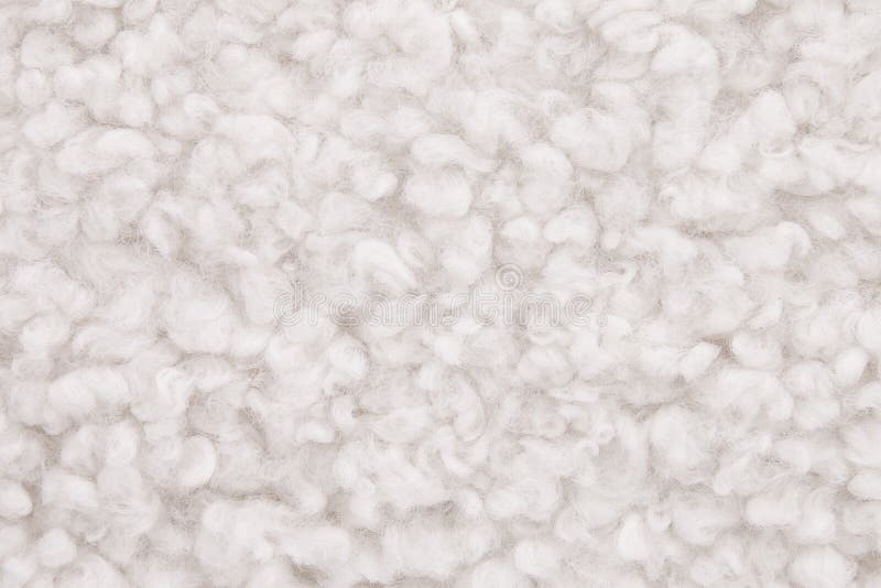 Texture blanche de laine image stock. Image du texture - 30521921 Texture blanche de laine image stock. Image du texture - 30521921