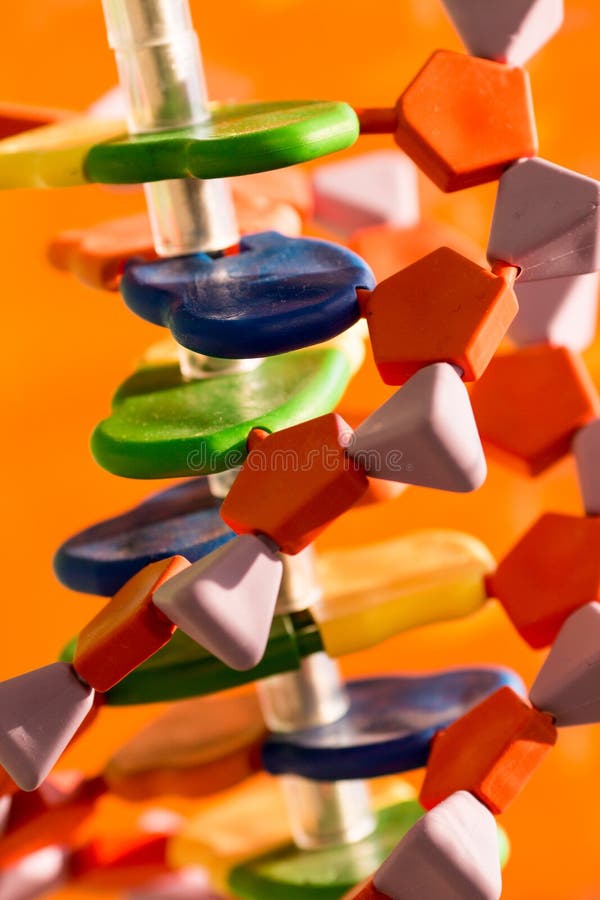 A Fragment of the DNA Helix Stock Image - Image of simple, element ...