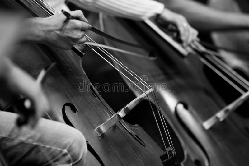 Fragment Double Basses in the Orchestra Stock Image - Image of ...