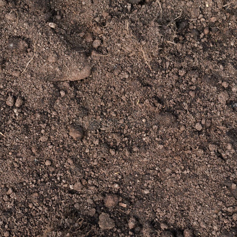 Fragment of an Earth Soil Texture Stock Image - Image of grunge, dirty ...