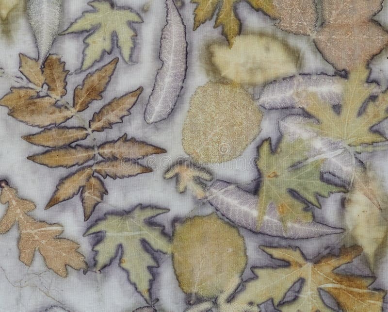 Fragment of Hand-dyed Fabric Using Eco-print Technique Stock Photo ...