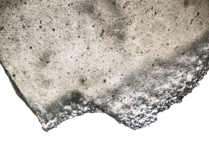 Fragment of Hybrid Ceramic Used in Dentistry Stock Image - Image of ...