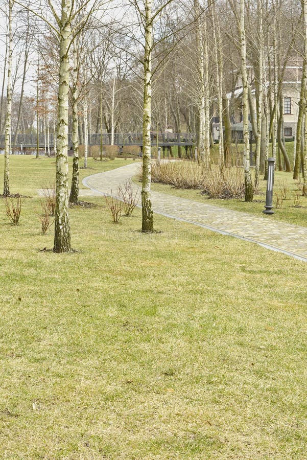 A Fragment of a Landscape Park Stock Photo - Image of beautiful ...