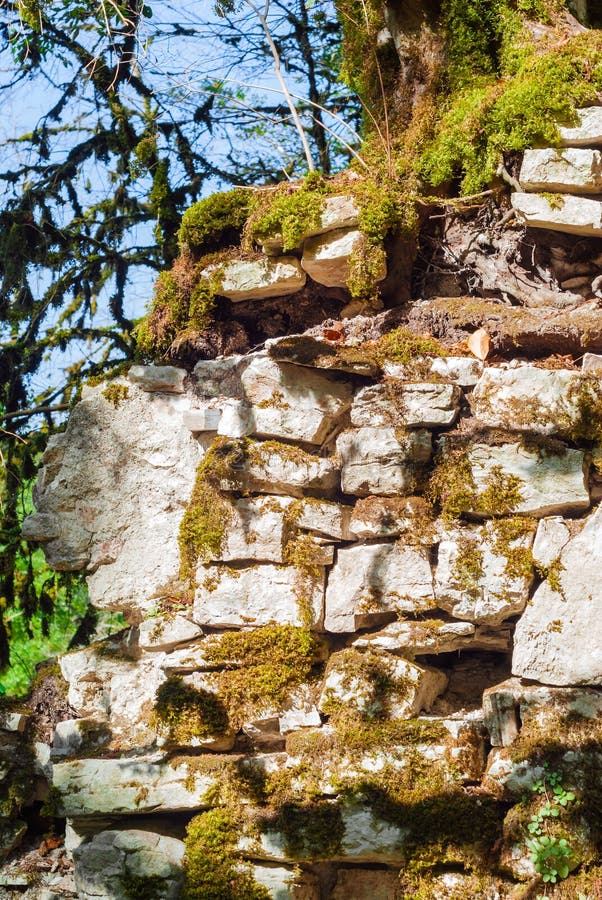 Background - Ancient Ruins in the Jungle Stock Image - Image of real ...