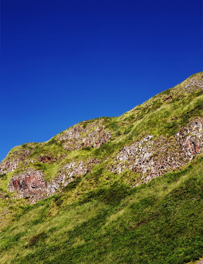 Overgrown Cliffs In Ireland Stock Image - Image of ocean, farming: 62250049