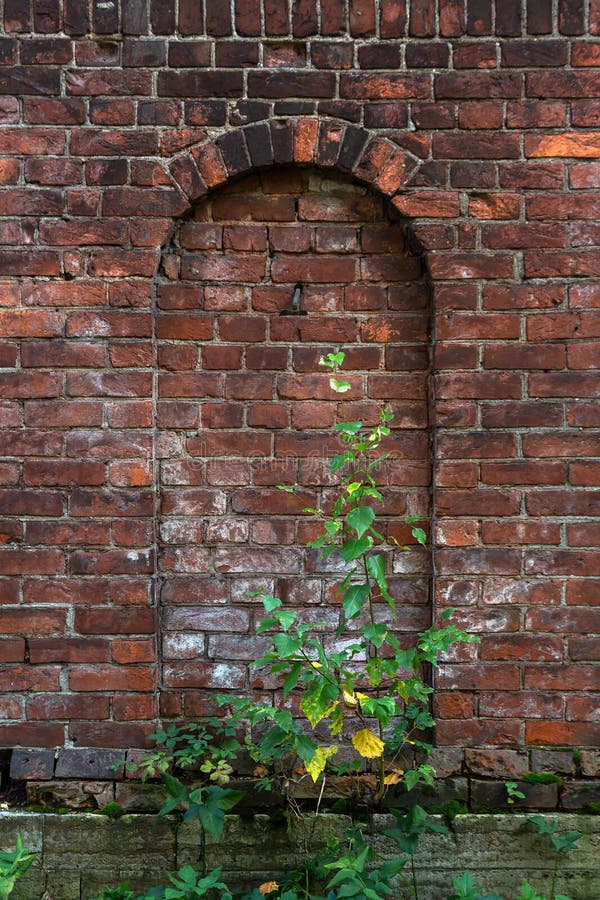 Brick Wall with Arched Blind Window Stock Photo - Image of dirty ...