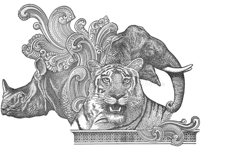 Fragment of Old 10 Indian Rupee Reverse Cut Stock Image - Image of ...