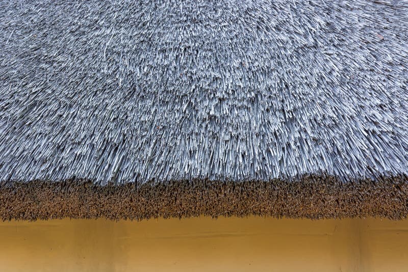 Fragment of the Old Reed Roof. Stock Image - Image of building, yellow ...