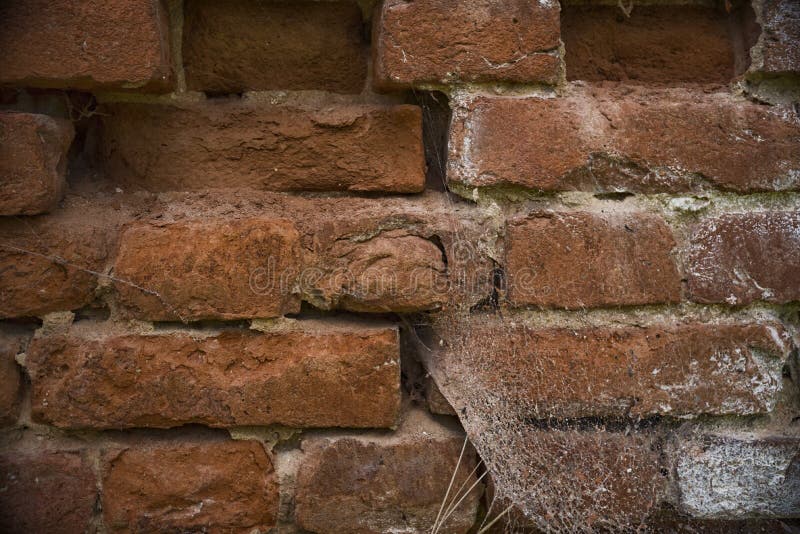 Spider Web in the Dust on the Background of an Old Red Brick Wall ...