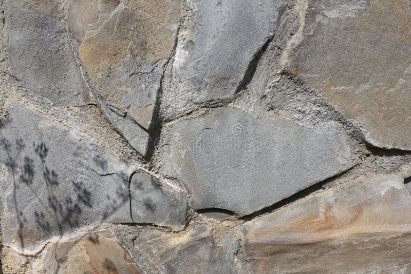 A Fragment of an Old Wall with the Shadow of a Plant on it. Stone ...