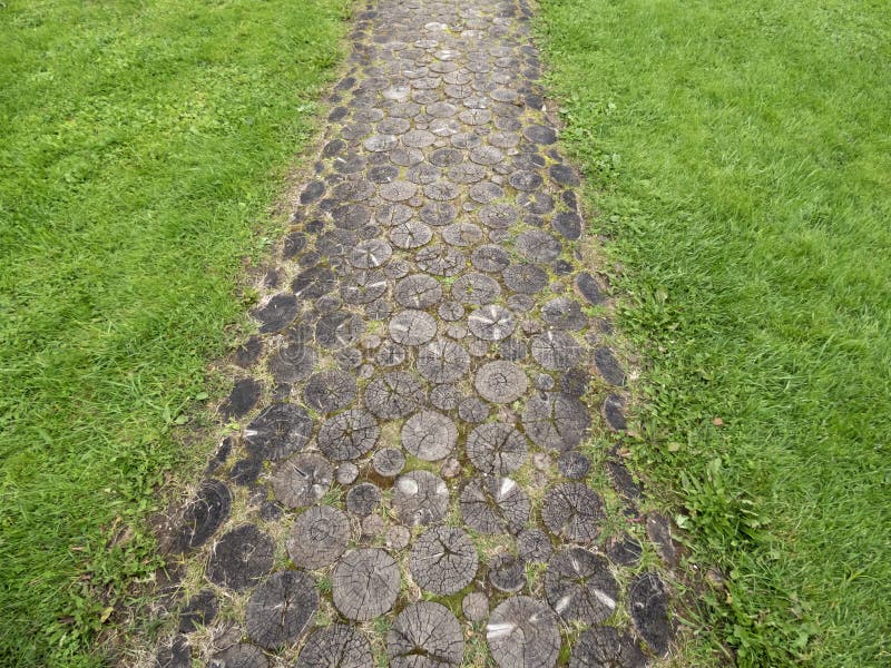 Fragment of a Path Paved with Cut Trees Stock Photo - Image of pavement ...