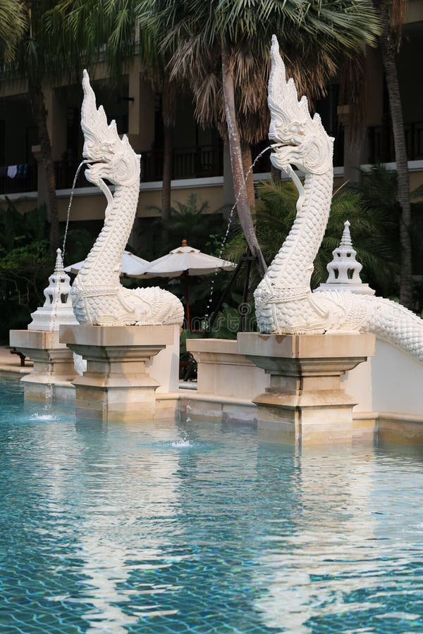 Fragment pool with dragons stock image. Image of swim - 43335933