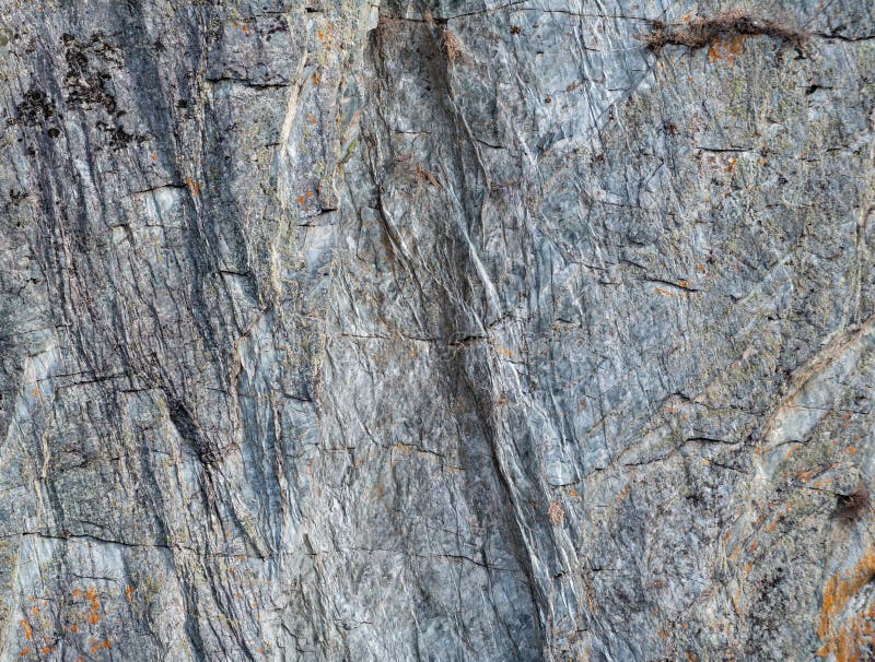 A Fragment of a Stone Rock with Vegetation Forming a Colored Pattern ...