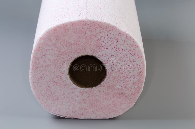 Fragment of Tear-off Paper Towels Roll, View from End Stock Image ...