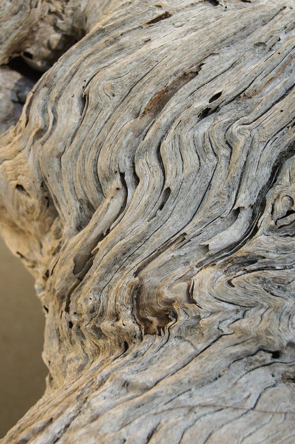 Twisted wood grain stock image. Image of texture, sand - 2842529