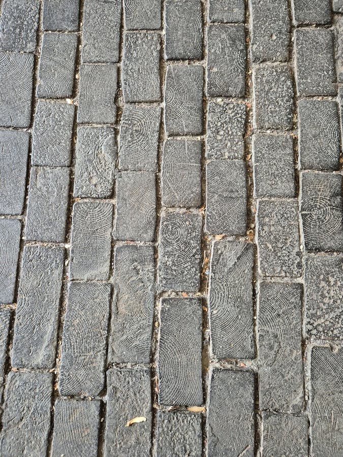 A Fragment of a Two-hundred-year-old Road Paved with Bog Oak Blocks ...