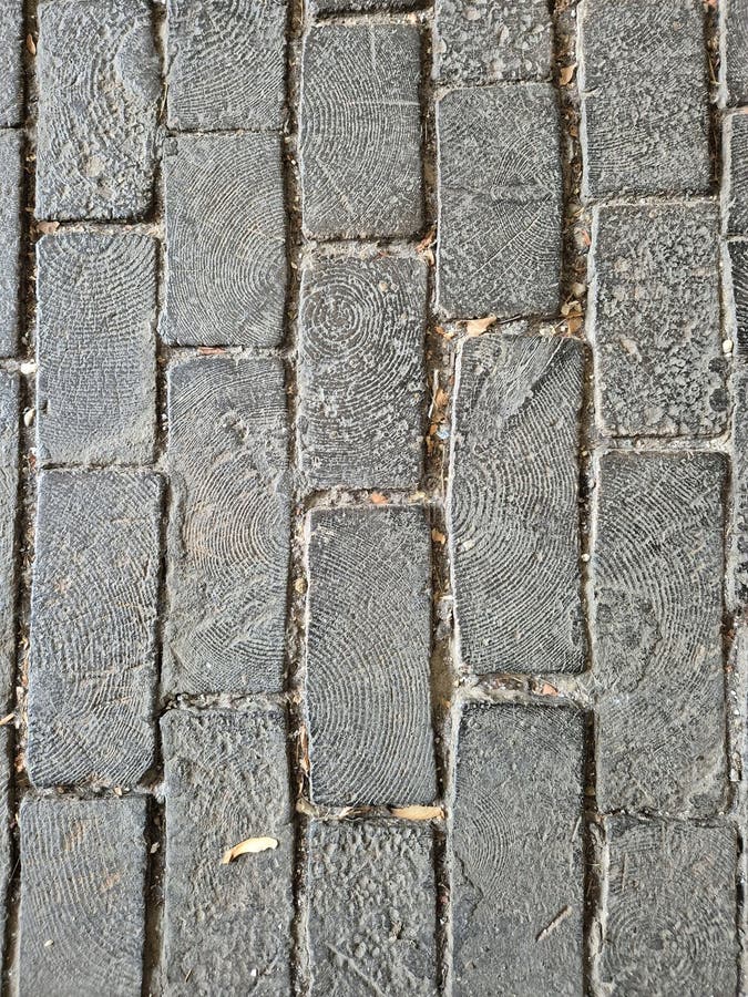 A Fragment of a Two-hundred-year-old Road Paved with Bog Oak Blocks ...