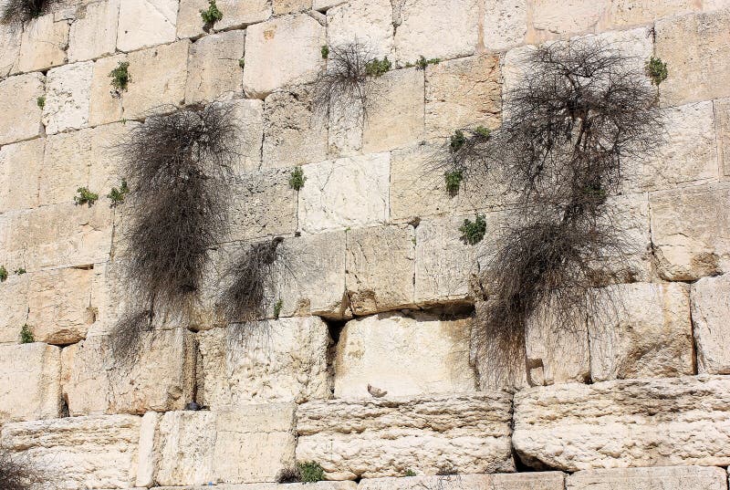 Wailing Wall Empty in Jerusalem Editorial Stock Image - Image of ...