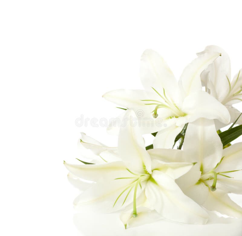 Art Abstract Spring Floral Background for Design Stock Photo - Image of ...