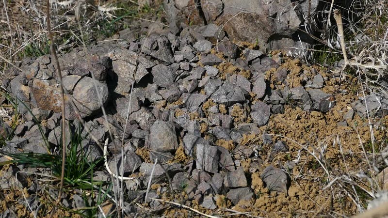 Fragmentation of Rocks, Cracking and Crumbling of Rocks in Nature Stock ...