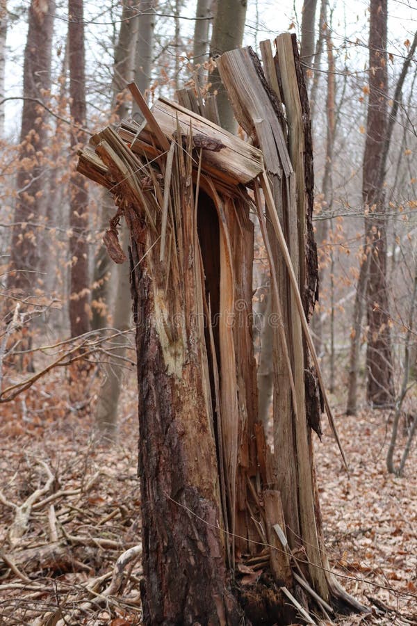 Fragmented Remnant Stock Photos - Free & Royalty-Free Stock Photos from ...