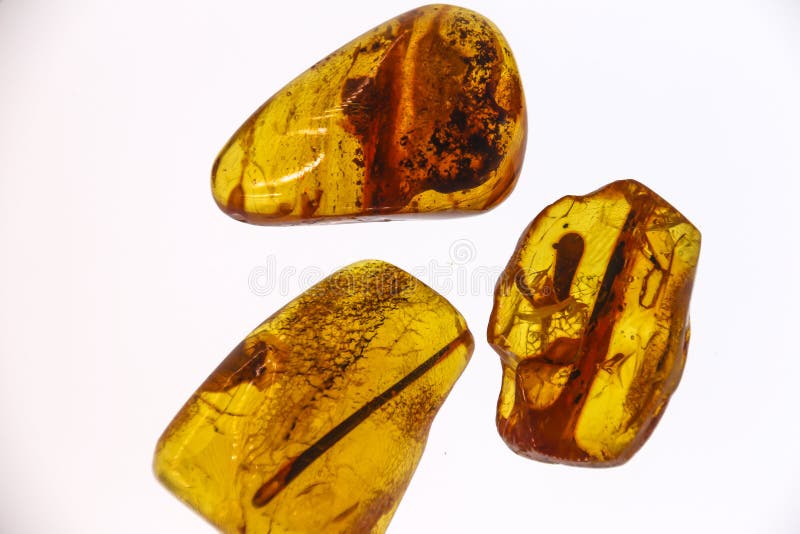 Fragments of Amber Close-up. Natural Amber with Pieces of Antiquities ...