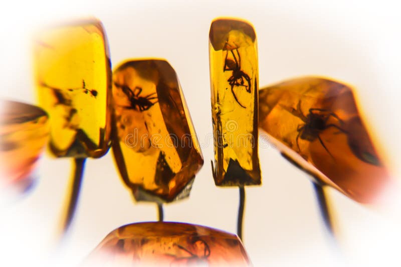Fragments of Amber Close-up. Natural Amber with Pieces of Antiquities ...