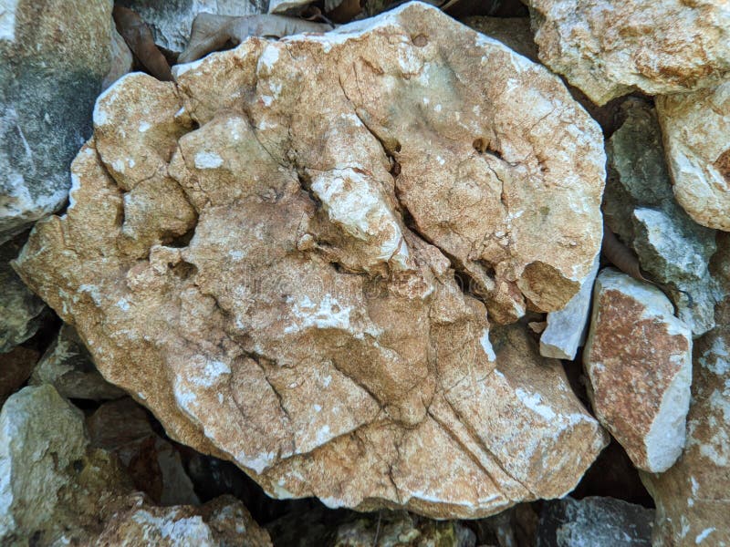 Fragments of Large Chunks of Karst Rock Stock Image - Image of rock ...