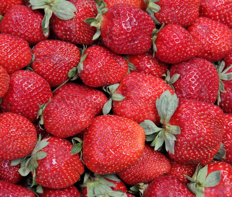 Fragola fotografia stock. Immagine di freschezza, colore - 17262164