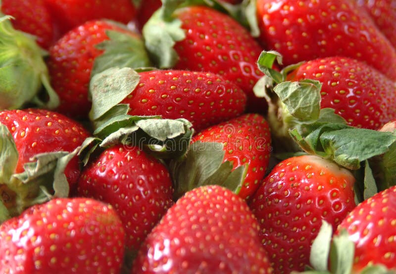 Fragola fotografia stock. Immagine di concetto, giardino - 195486
