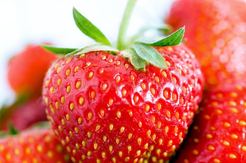 Fragola immagine stock. Immagine di colorato, fresco - 20082743