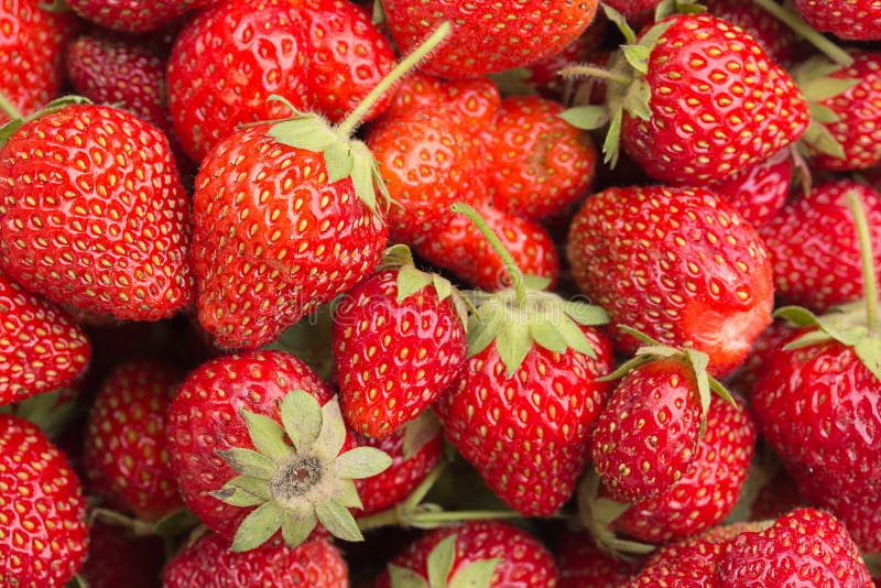Fragola fotografia stock. Immagine di mercato, alimento - 25167518