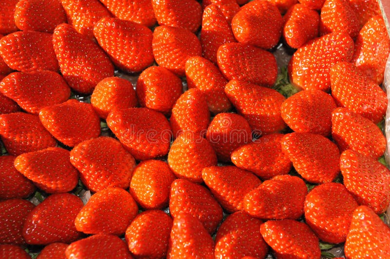 Fragola fotografia stock. Immagine di buongustaio, alimento - 38585540