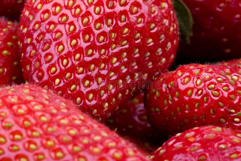 Fragola immagine stock. Immagine di squisito, fresco, macro - 4798225