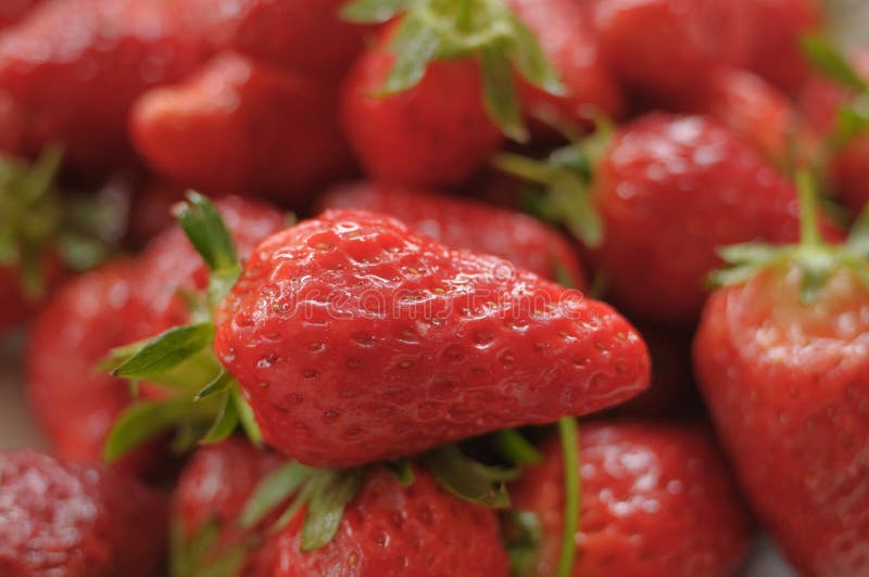 Fragola immagine stock. Immagine di fresco, saporito - 52643727
