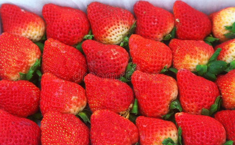 Fragola immagine stock. Immagine di salute, antecedenti - 8336605