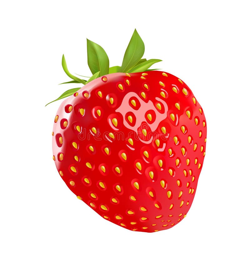 Fragola Rossa Su Fondo Bianco Illustrazione Vettoriale - Illustrazione ...