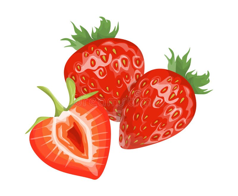 Fragole Isolate Disegno Stilizzato Del Grafico Illustrazione Vettoriale ...