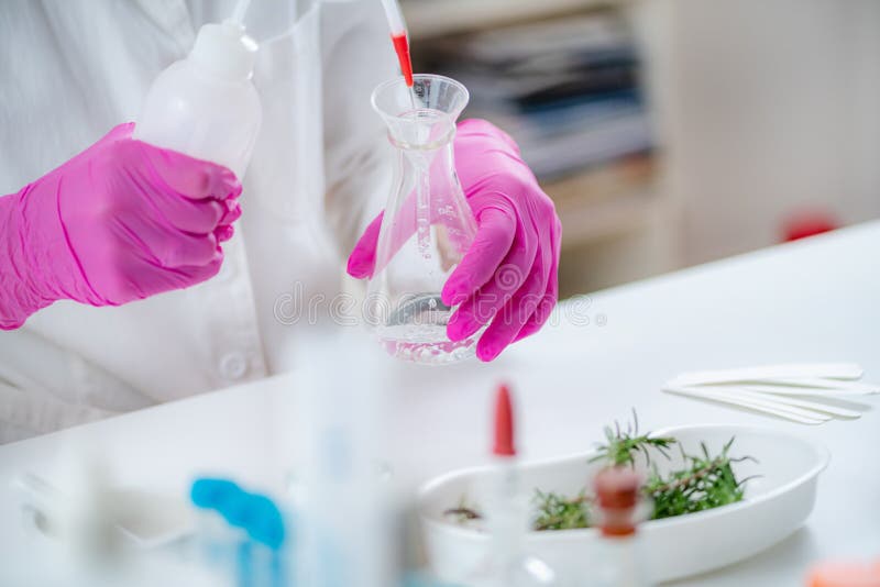 Fragrance Laboratory Analysis Stock Image - Image of research ...