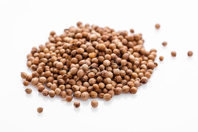 Fragrant Coriander Seeds on a White Background Stock Image - Image of ...