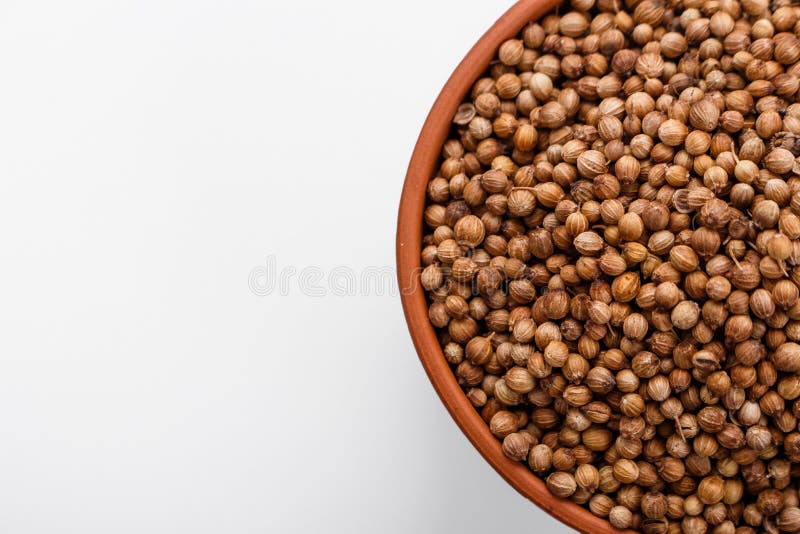 Fragrant Coriander Seeds on a White Background Stock Photo - Image of ...