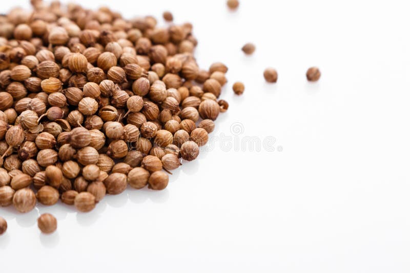 Fragrant Coriander Seeds on a White Background Stock Photo - Image of ...