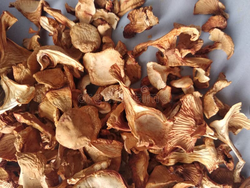 Fragrant Dried Tropica Flowers Nuts and Fruits for Xmas Decorations in ...