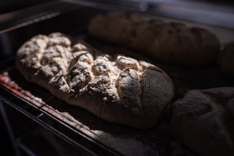 Fragrant Fresh Clean Bread Ready for Baking in the Oven Stock Image ...