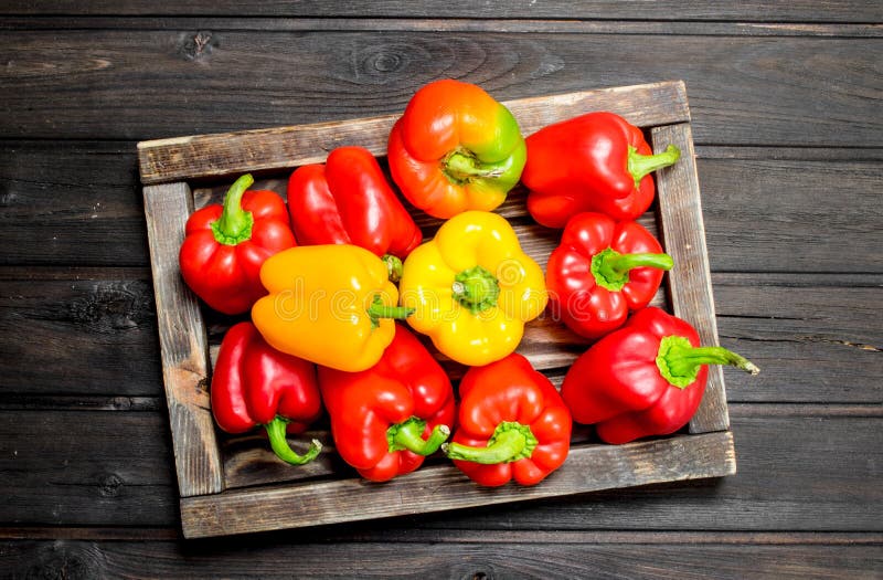 Fragrant Fresh Sweet Pepper Tray Stock Photos - Free & Royalty-Free ...